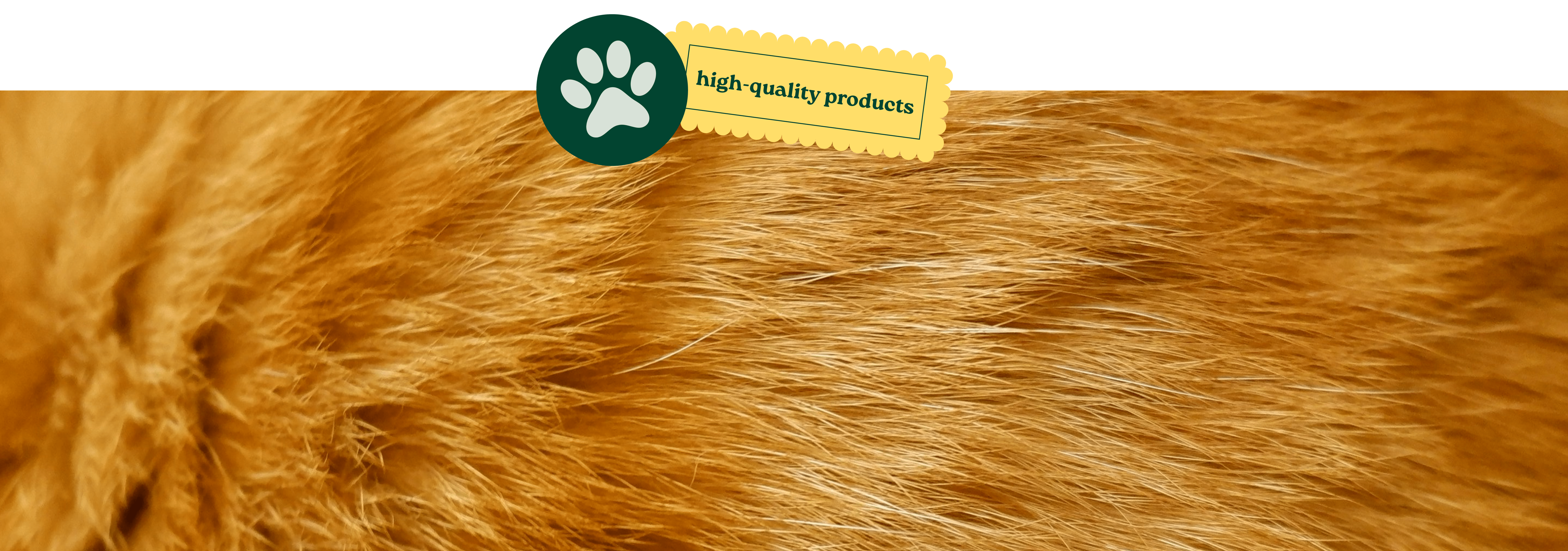 Behind The Brand – Small-petselect